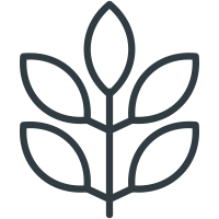 Twig Icon - Free PNG & SVG 274343 - Noun Project