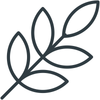Twig Icon - Free PNG & SVG 274404 - Noun Project