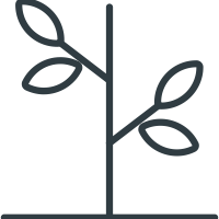 Twig Icon - Free PNG & SVG 274464 - Noun Project